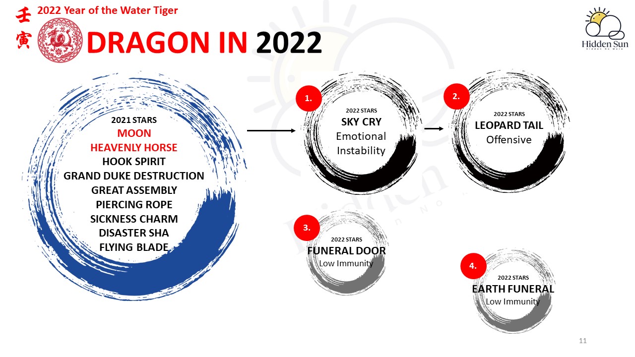 2022 CHINESE ZODIAC: DRAGON - The Hidden Sun